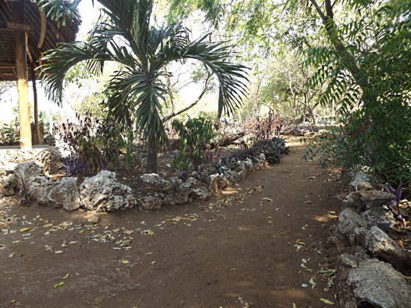 The African Barn Owl Cave Mombasa - Mombasa Vacation