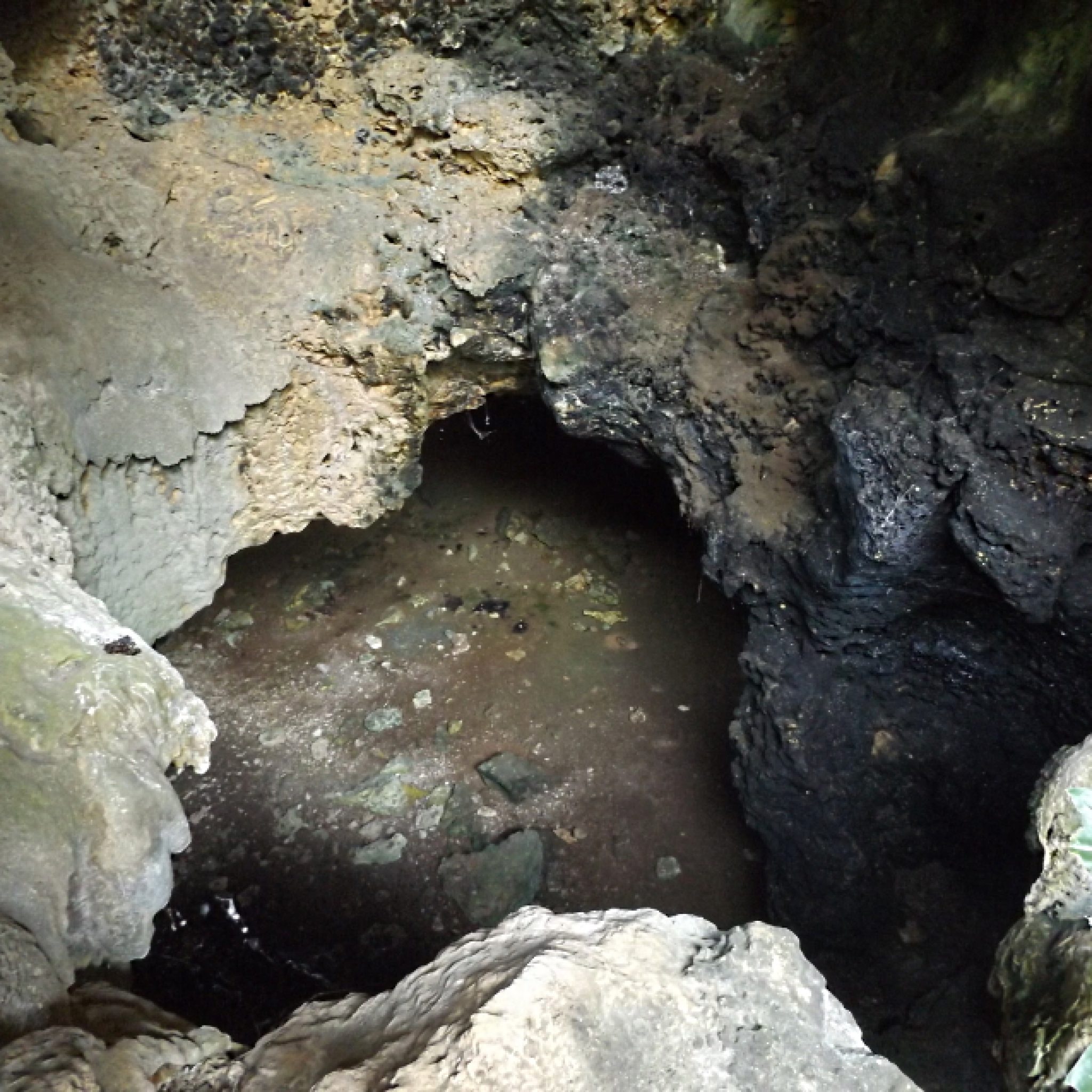 The African Barn Owl Cave Mombasa - Mombasa Vacation